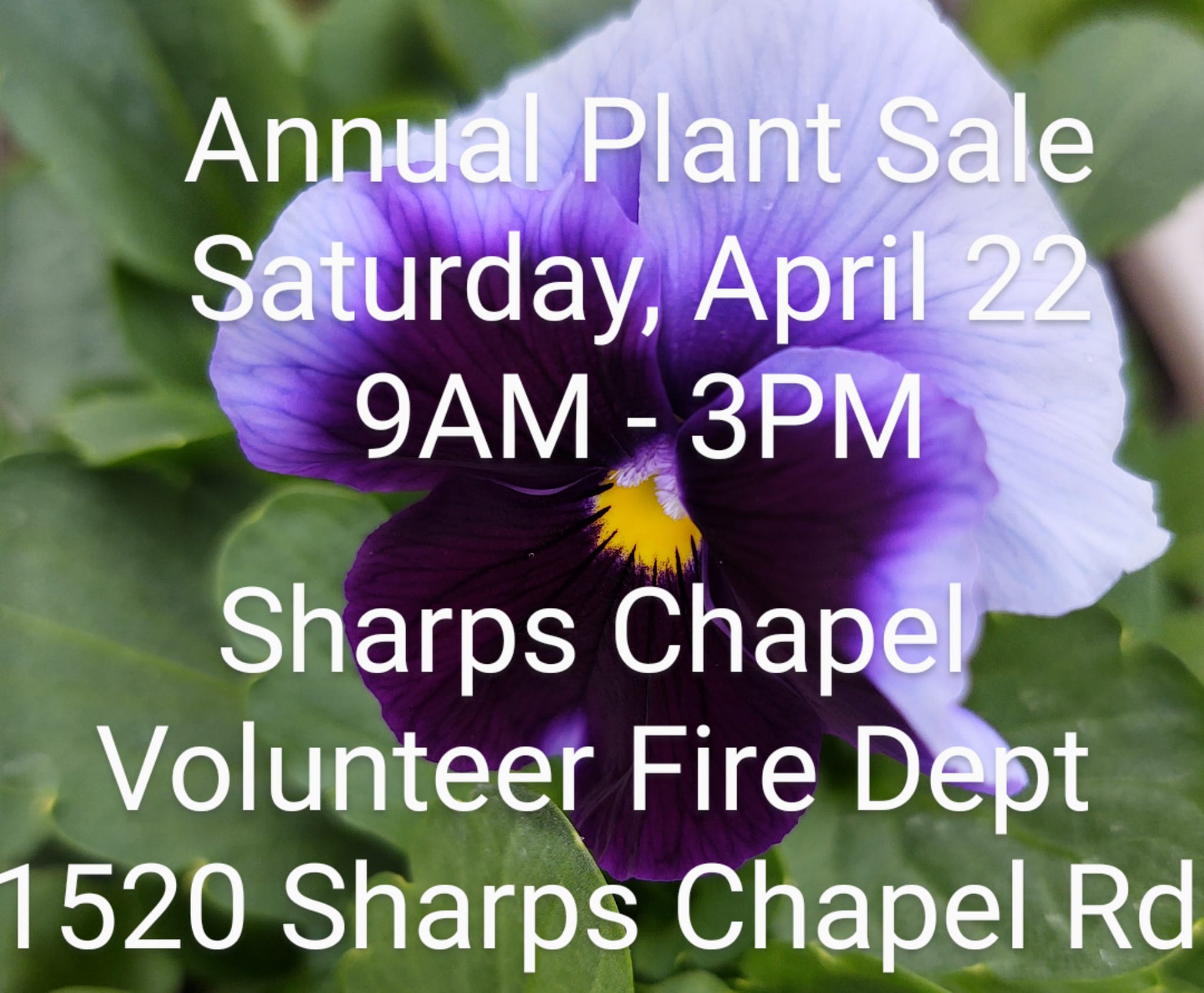 Annual Plant Sale at Sharps Chapel VFD | Sharps Chapel Volunteer Fire ...
